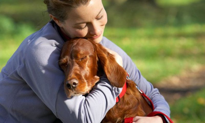 Pets: More forgiving than their owners? - Apple Valley Vet Clinic