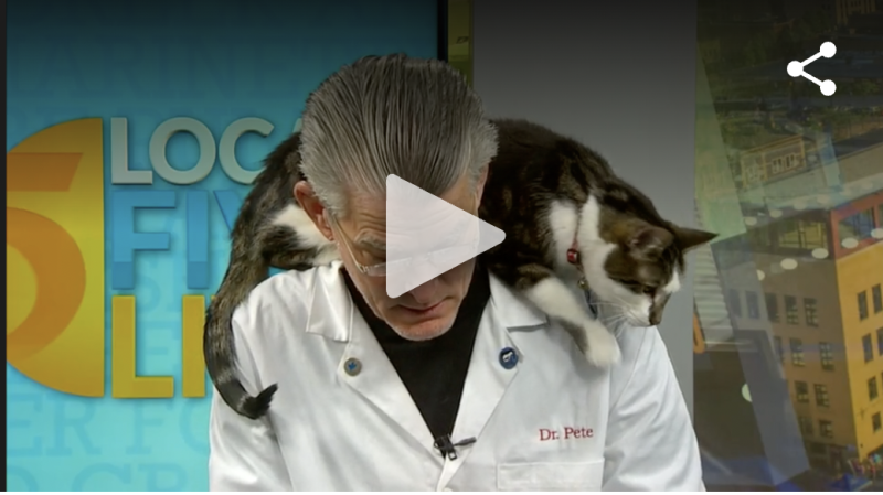 Media - Vet in Appleton | Apple Valley Veterinary Clinic